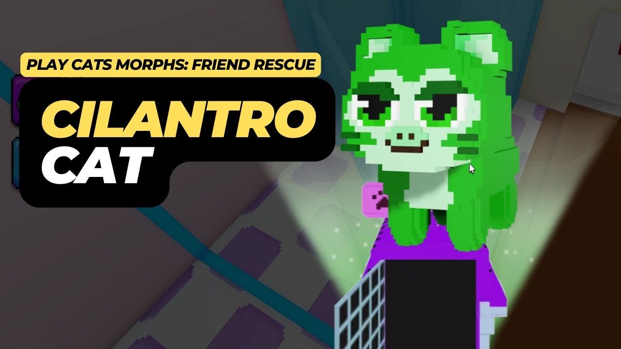 Cilantro Cat Location - Roblox Play Cats Morphs: Friend Rescue - YouTube