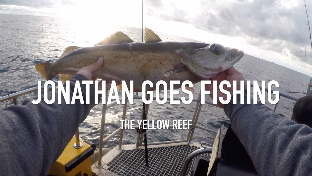 THE YELLOW REEF - YouTube