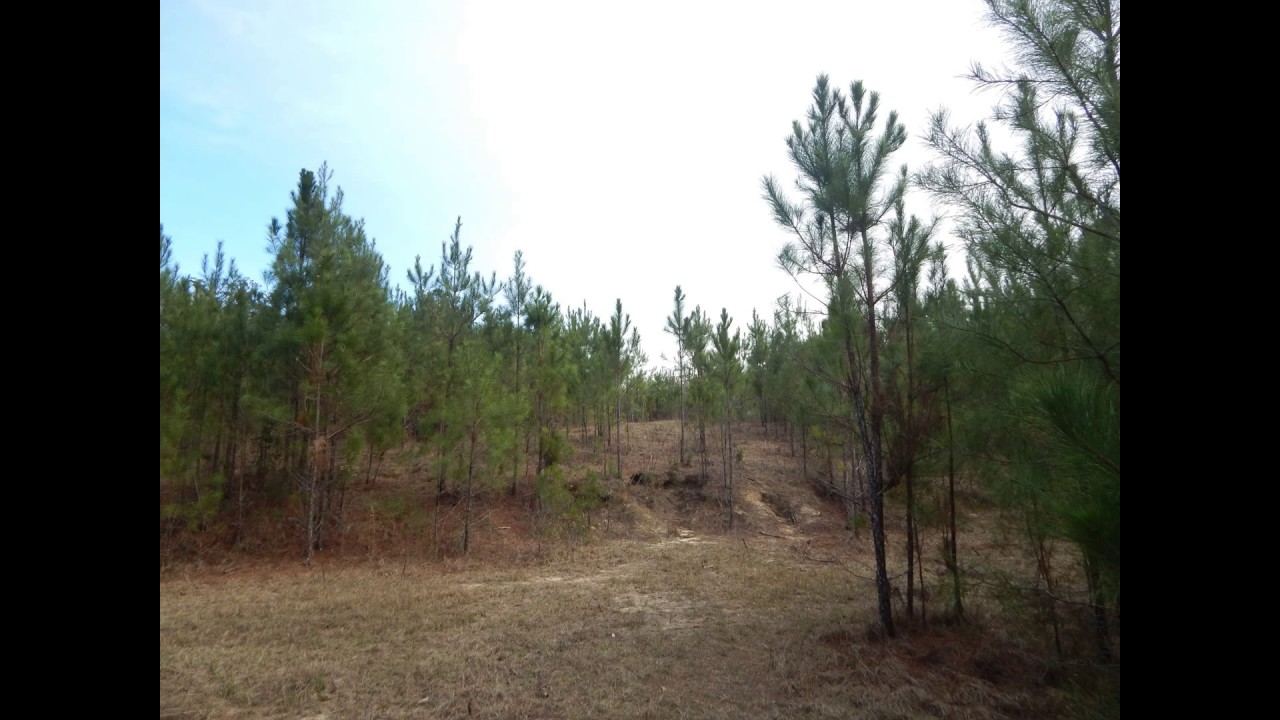 Chunchula Tract - YouTube