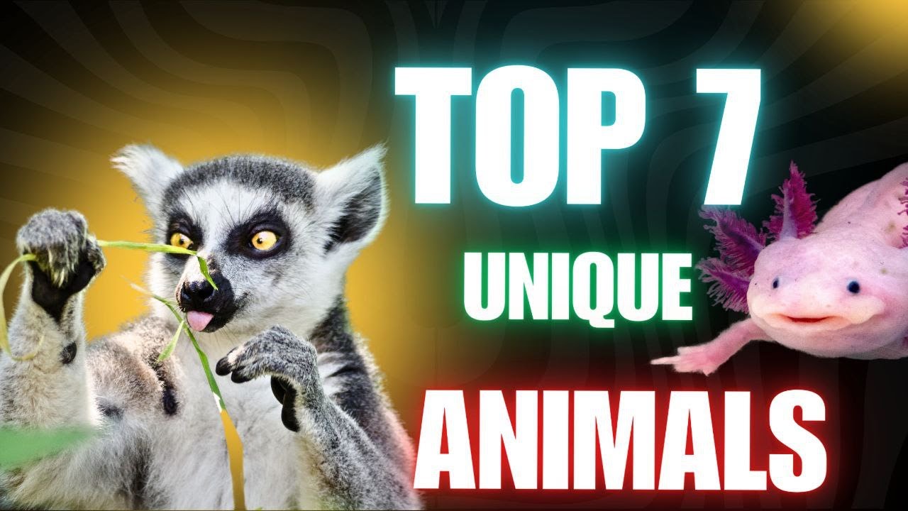 TOP 7 UNIQUE ANIMALS THAT ACTUALLY EXIST !!🦄🌍 - YouTube