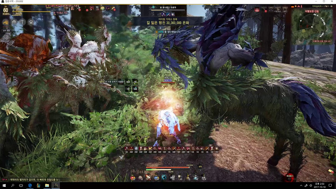 Black Desert Ranger kamasilve grind ronaros PVE / 검은사막 레인저 숲 로나로스 사냥 ...