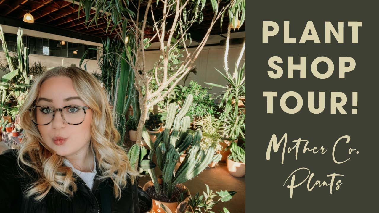 Plant Shop Tour! | Mother Co. Plants in Minneapolis, Minnesota - YouTube