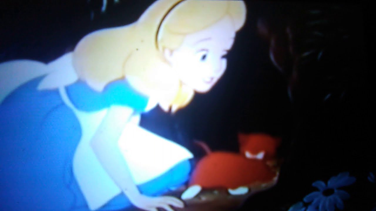 Alice chasing simba - YouTube