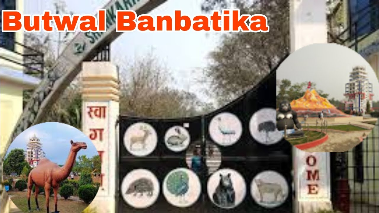 Butwal Banbatika Vlog - YouTube