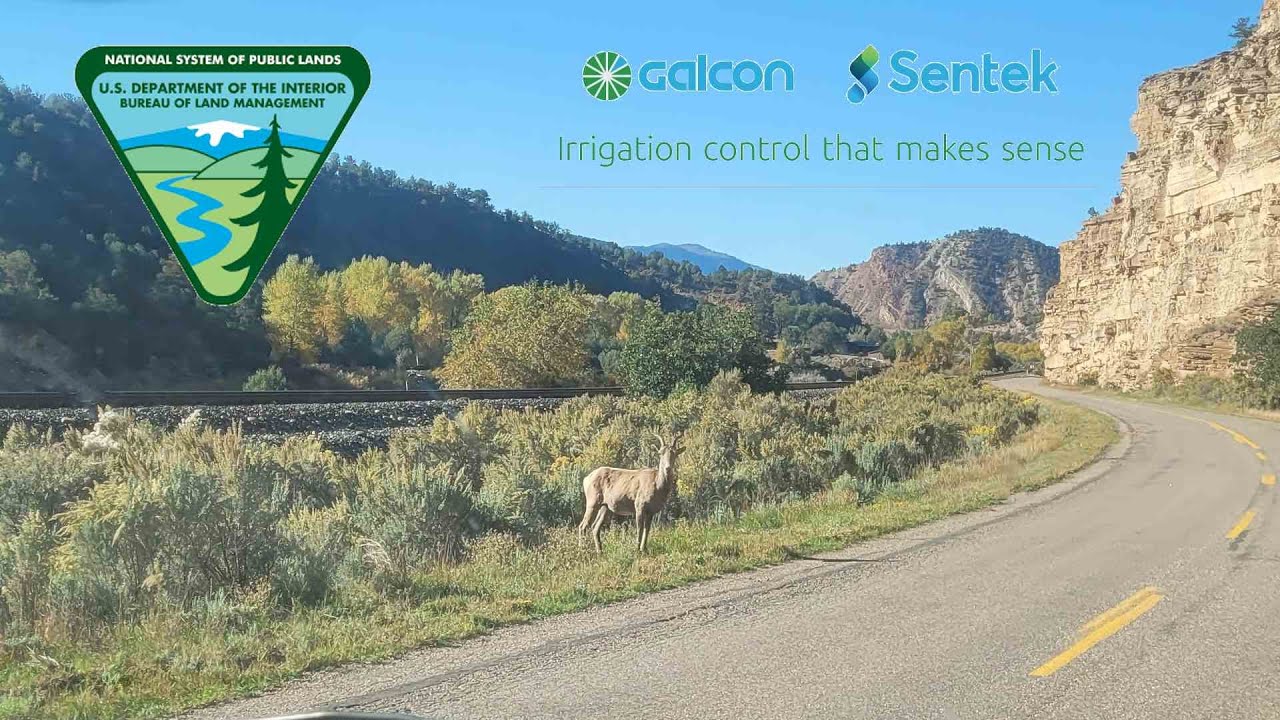 Bureau of Land Management range land regenerative ag from mastication ...