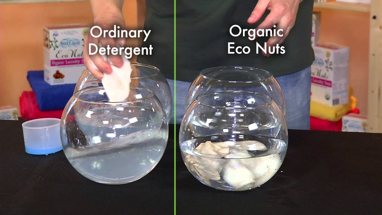 Eco Nuts Commercial - YouTube