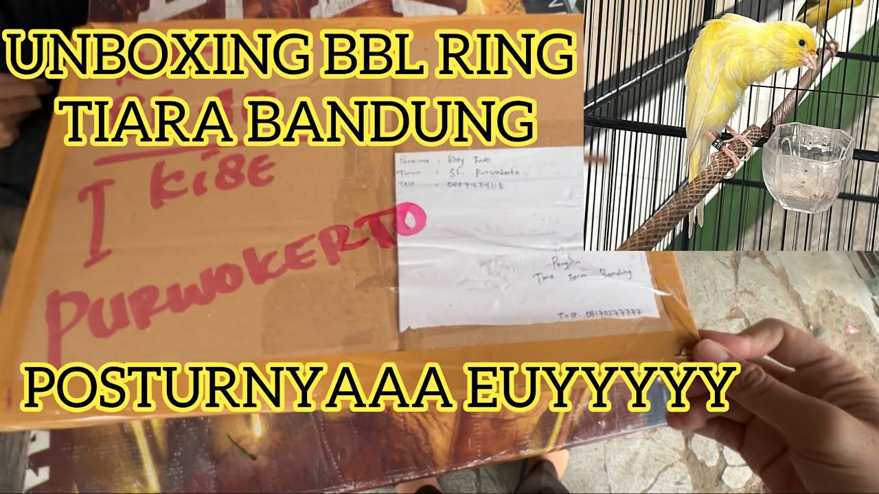 UNBOXING BBL RING TIARA BANDUNG POSTURNYAAAA EUYYY SEREM HEHE # ...