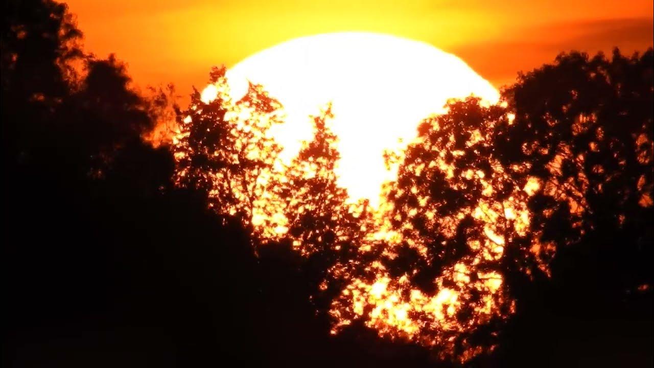 Zonsondergang/Sunset, Duivendrechtse Polder, The Netherlands, 30-08-2022. - YouTube