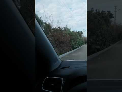 MERSİN SAHİL 2017. MART