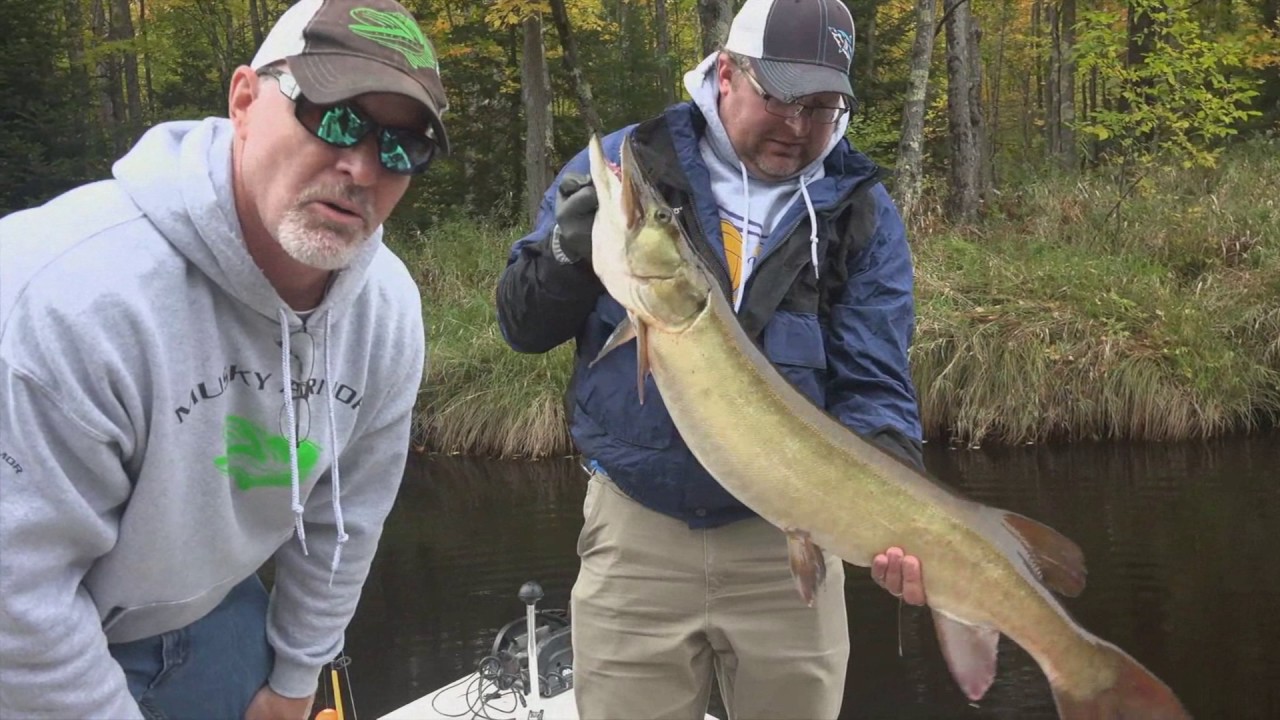 river musky 2016 - YouTube