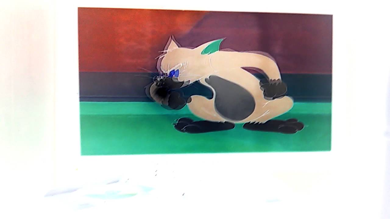 Tom and Jerry Fandubs (Kitty Foiled) - YouTube