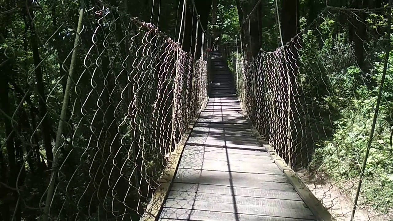 FAMOUS CANOPY WALK ,LOLEGAON,WEST BENGAL - YouTube