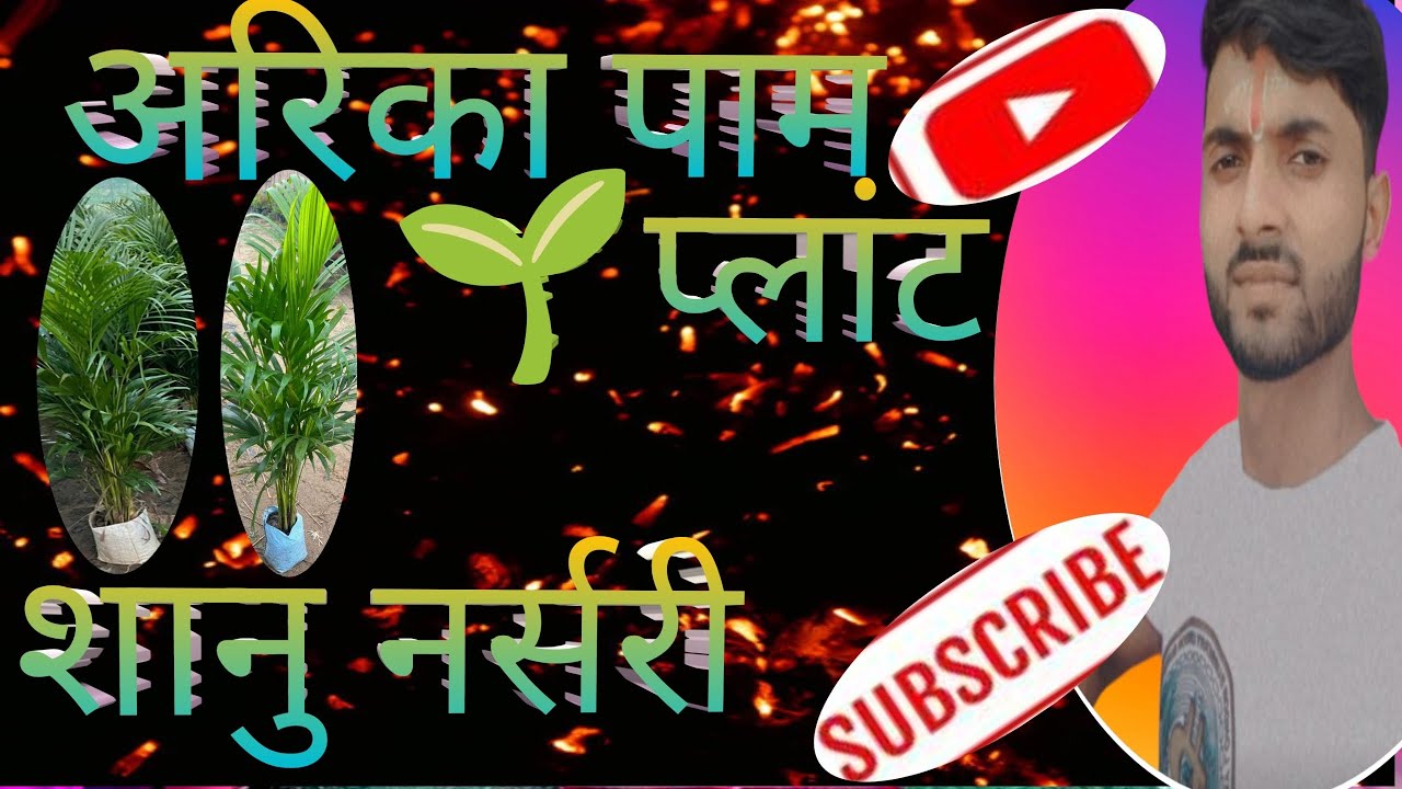 𝙖𝙧𝙞𝙠𝙖#𝙥𝙖𝙢#𝙠𝙚#𝙗𝙖𝙧𝙚#𝙢𝙚# - YouTube