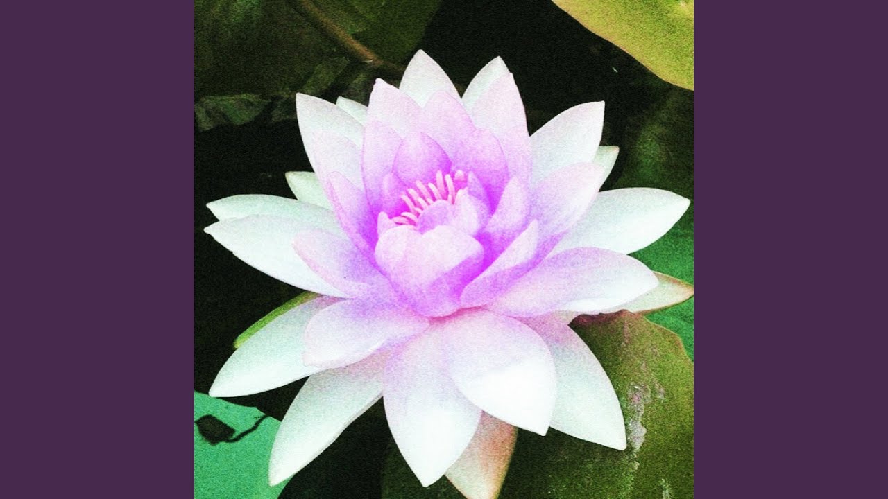 Love Is Disgusting - YouTube