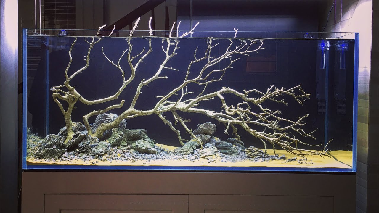 Clear water tank setup part 1 - YouTube