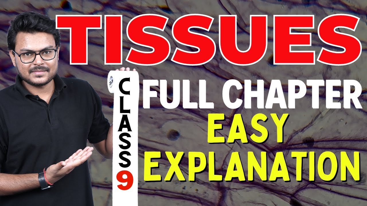 Tissues Class 9 Science | NCERT Chapter 6 | Animal & Plant Tissues Full ...