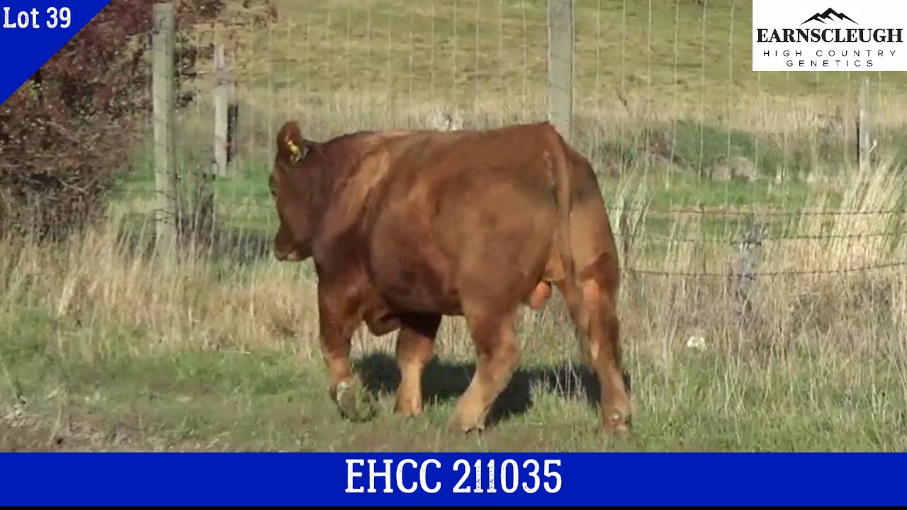 Lot 39 EHCC 211035 - YouTube