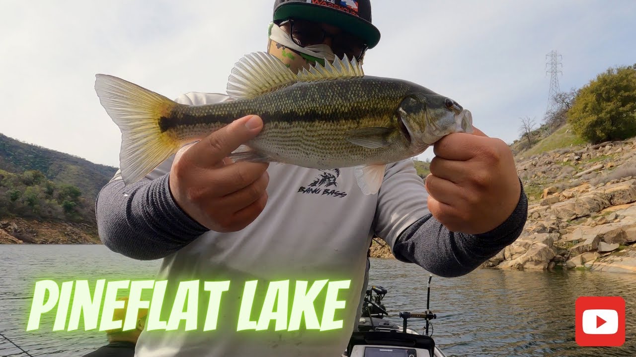 SLAYING BASS | PINE FLAT LAKE | BANGBASS559 | FEB 2024 - YouTube