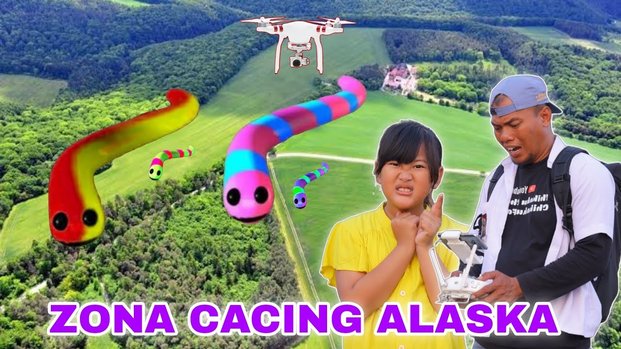 CACING ALASKA TERTANGKAP KAMERA DRONE | ZONA CACING ALASKA | CHIKAKU ...