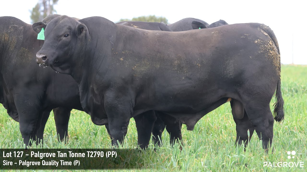 Lot 127 Palgrove Ten Tonne T2790 (PP) - YouTube