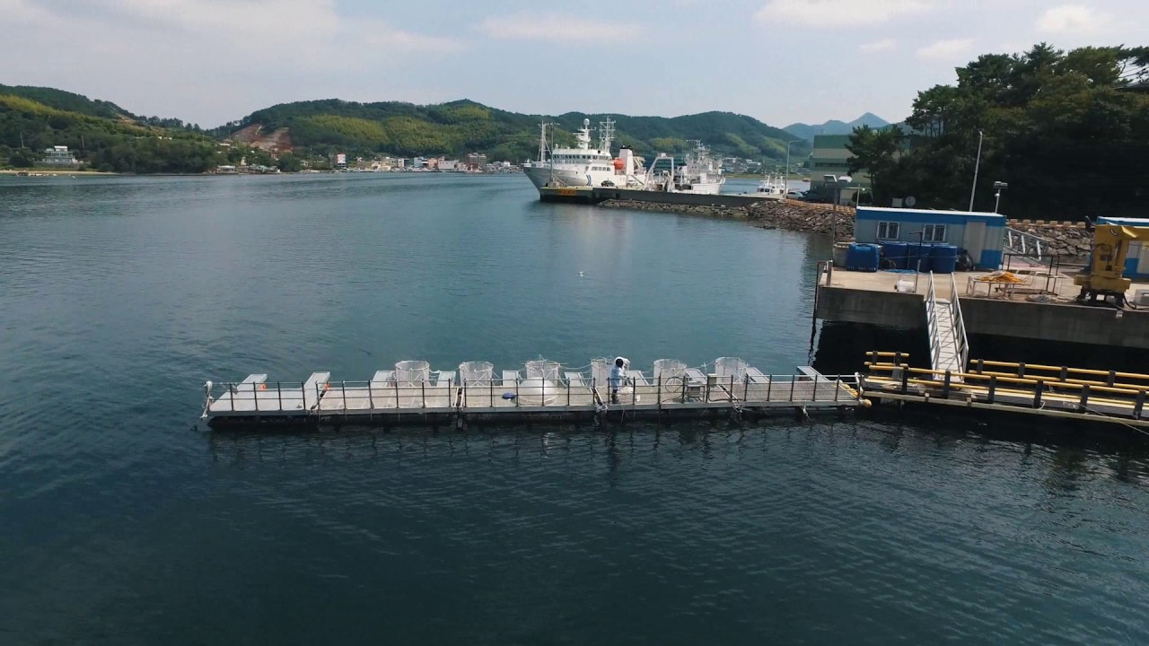 The overview of KIOST - YouTube