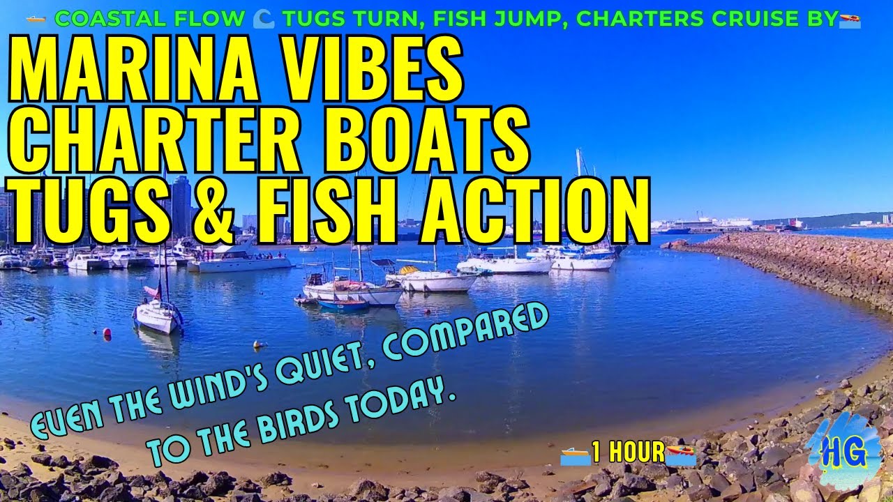 ☀️ Durban Bay Marina Vibes Charter Boats, Tugs & Fish Splash on a Sunny ...
