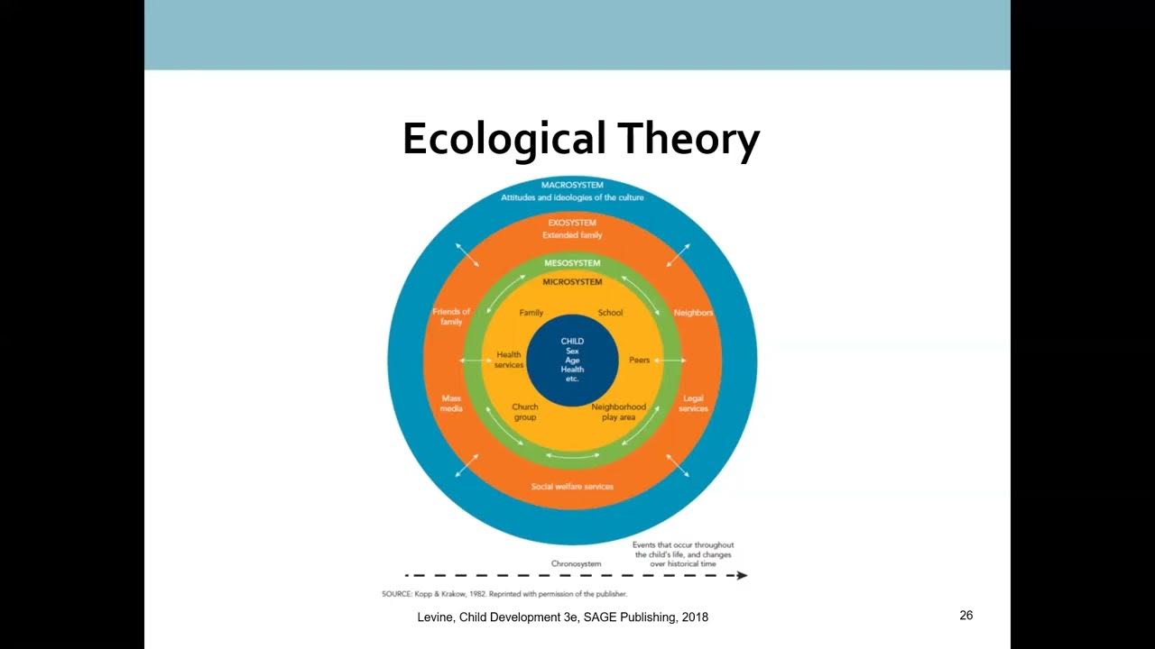 PSY 201 - Ch 2 - Part 5 of 6 - Evolutionary, Ecological, and Dynamic ...