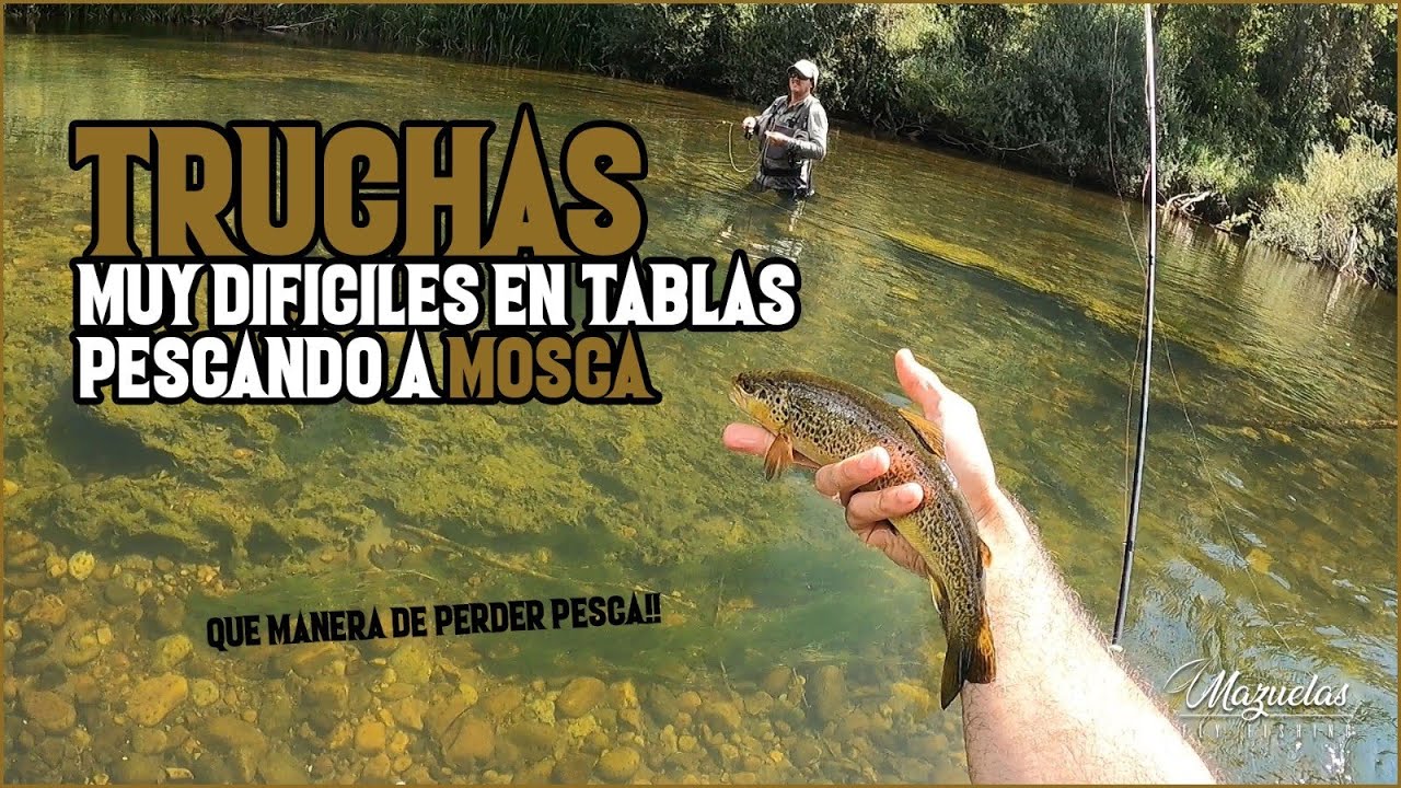 Pescando truchas en tablas.QUE MANERA DE PERDER PESCA😱Mazuelas fly ...