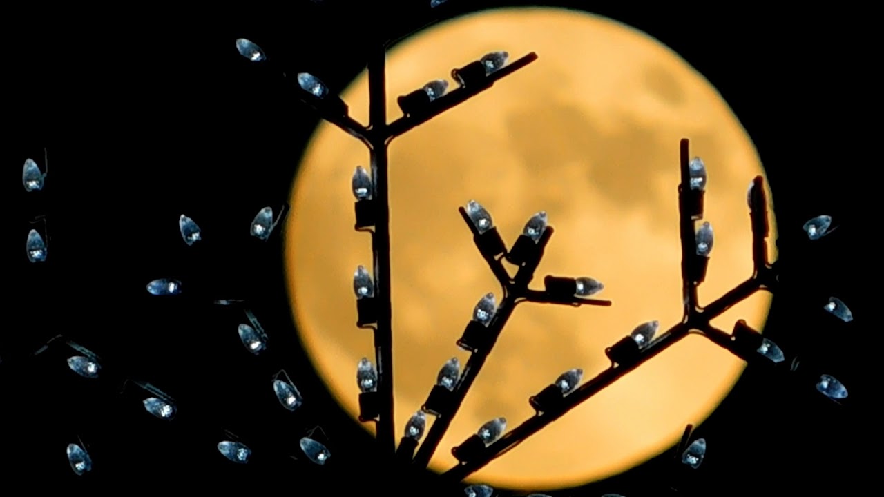 THANKSGIVING MOON RISE 2018 - YouTube
