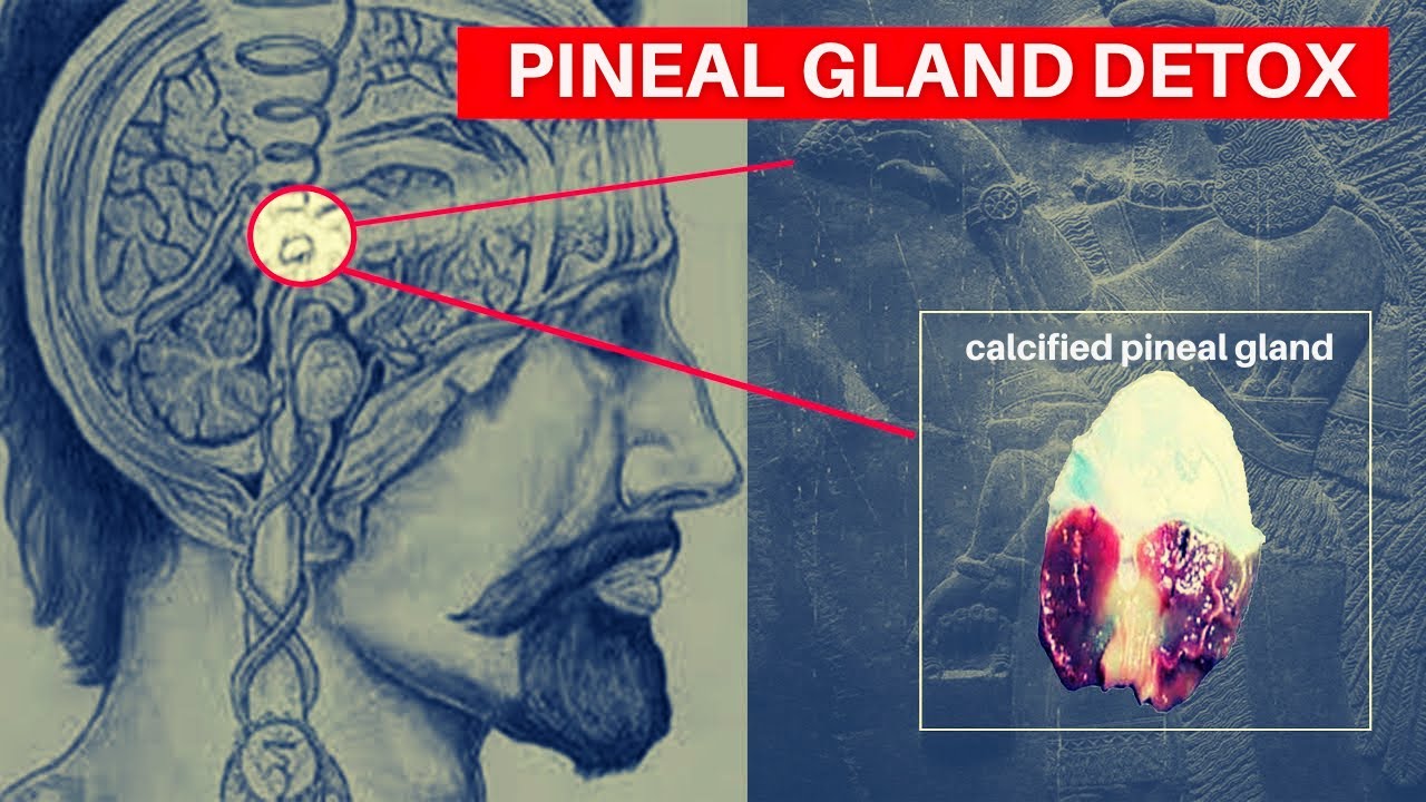 Unlocking Your Third Eye: Safe and Quick Methods - YouTube