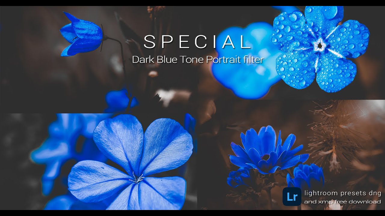 Special Dark Blue Tone Portrait Filter Lightroom Presets DNG and XMP ...