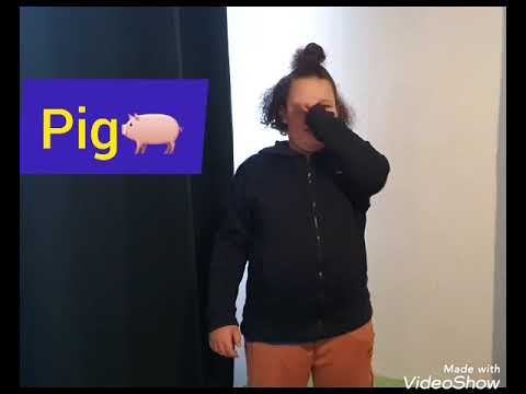 #Makaton #sign #pig 🐷 #magicmum3stars - YouTube