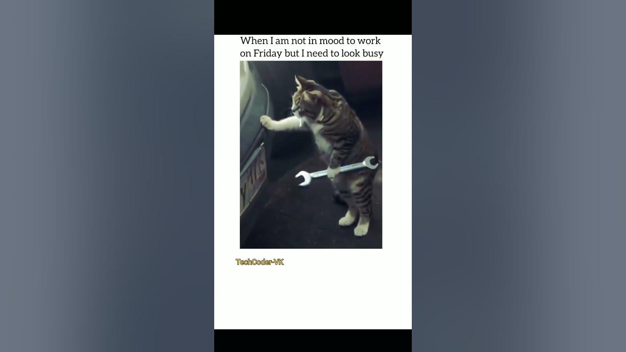 😁🤭programming Coding Webdevelopment Project C Javascript Funny