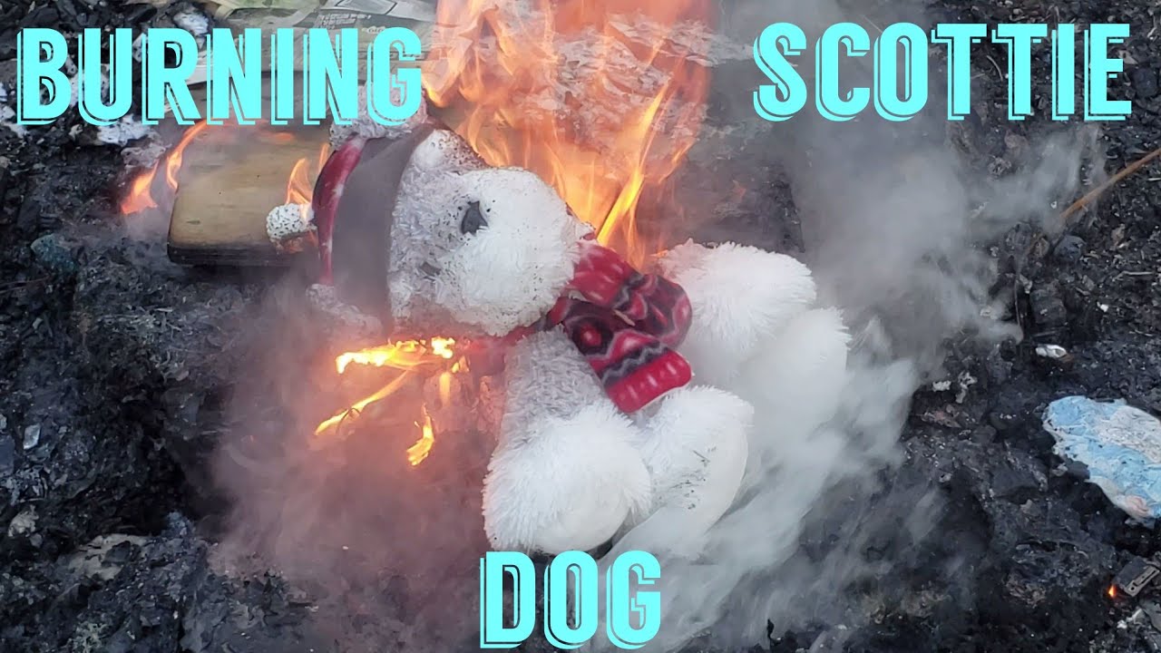 Burning stuff: Scottie Dog plush - YouTube