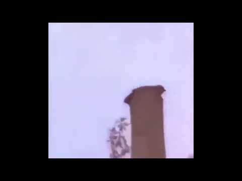 ASUPAN MEME - BIKIN NGAKAK + BINGUNG ending nya gakuat V3