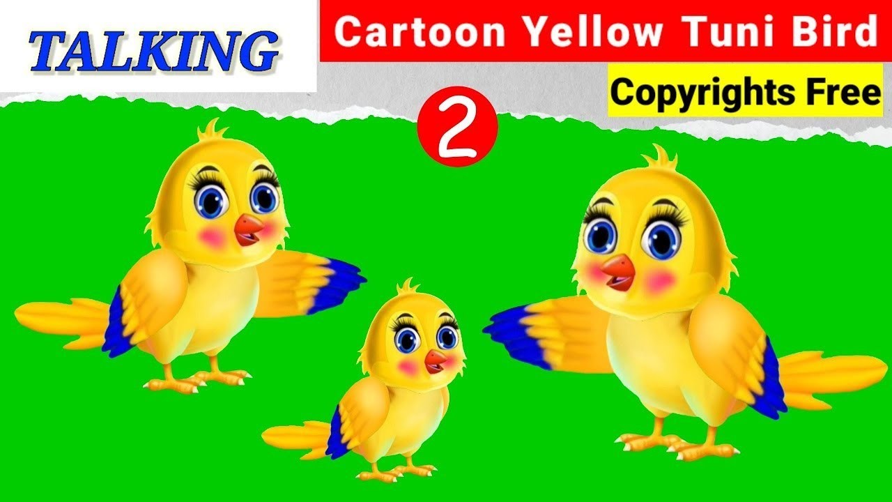 Part 2 Talking Yellow Bird Green Screen Tuni Bird Green Screen Cartoon ...