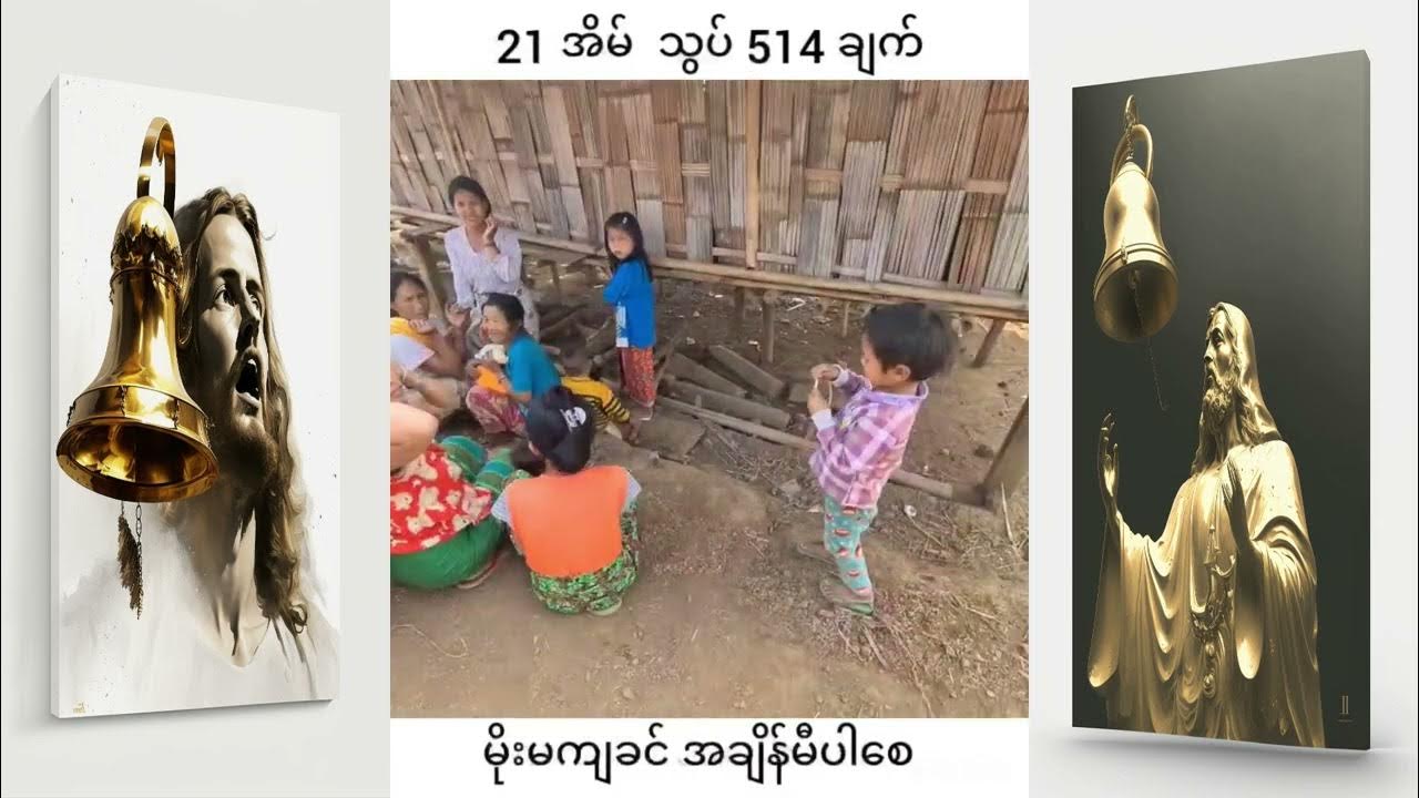 အိမ်မိုးမယ့် သက်ကယ်တွေကို နွားတွေစားလို့ အမိုး မမိုးနိုင်ဘူး Youtube