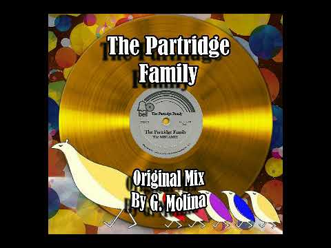 The Partridge Family Megamix - YouTube
