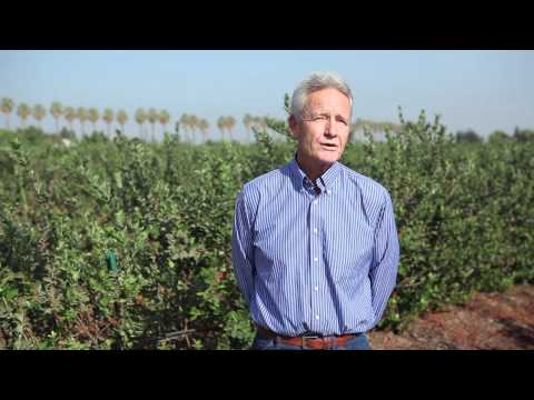 What Chemicals Are Used In Conventional Farming