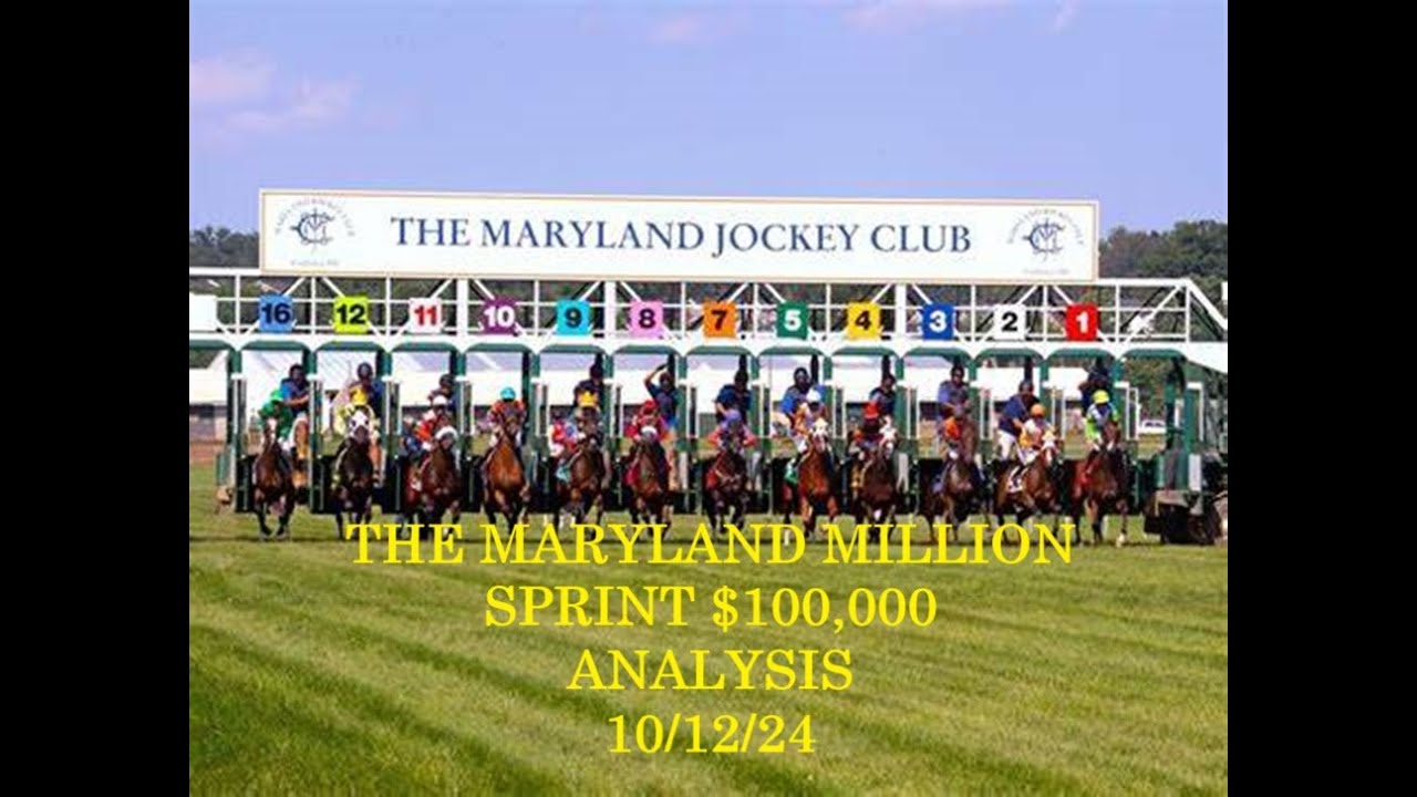 THE MARYLAND MILLION SPRINT $100,000 ANALYSIS 10 12 24 - YouTube