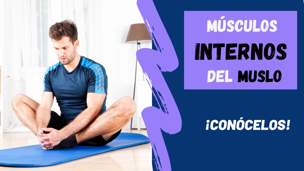 ADUCTORES, RECTO INTERNO… Conoce los Músculos INTERNOS del Muslo - YouTube