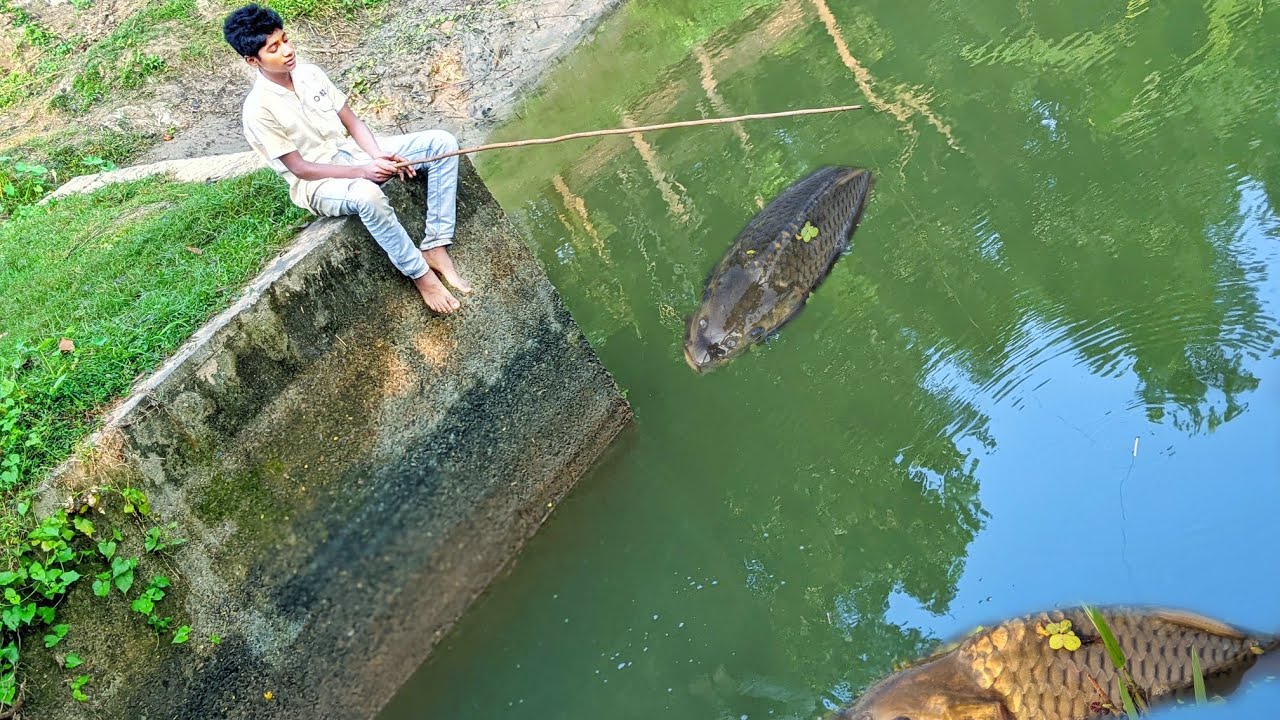 Amazing Hook Fishing Video! Really Hand Hook Catch fish. - YouTube