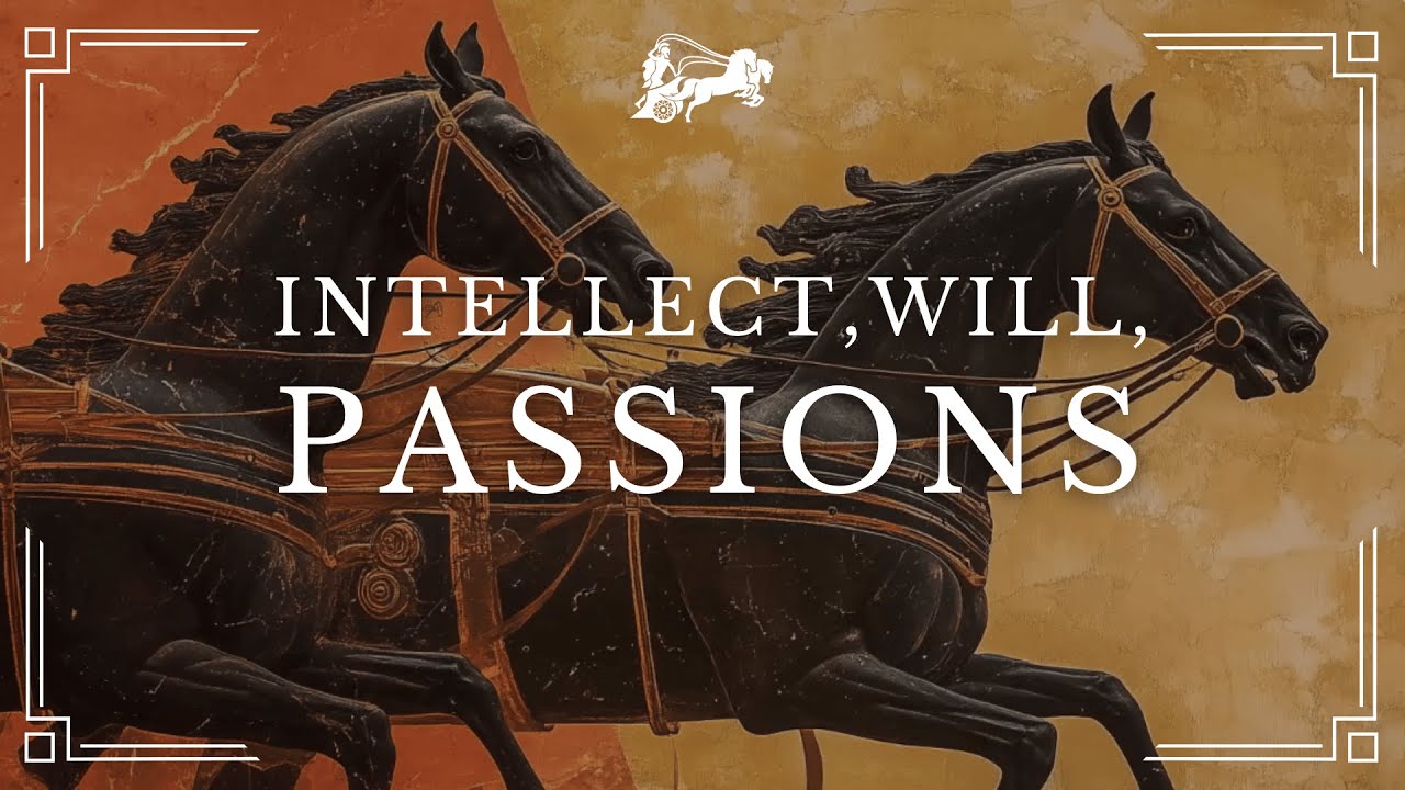 INTELLECT, WILL, PASSIONS | Christian Virtue Ethics - YouTube