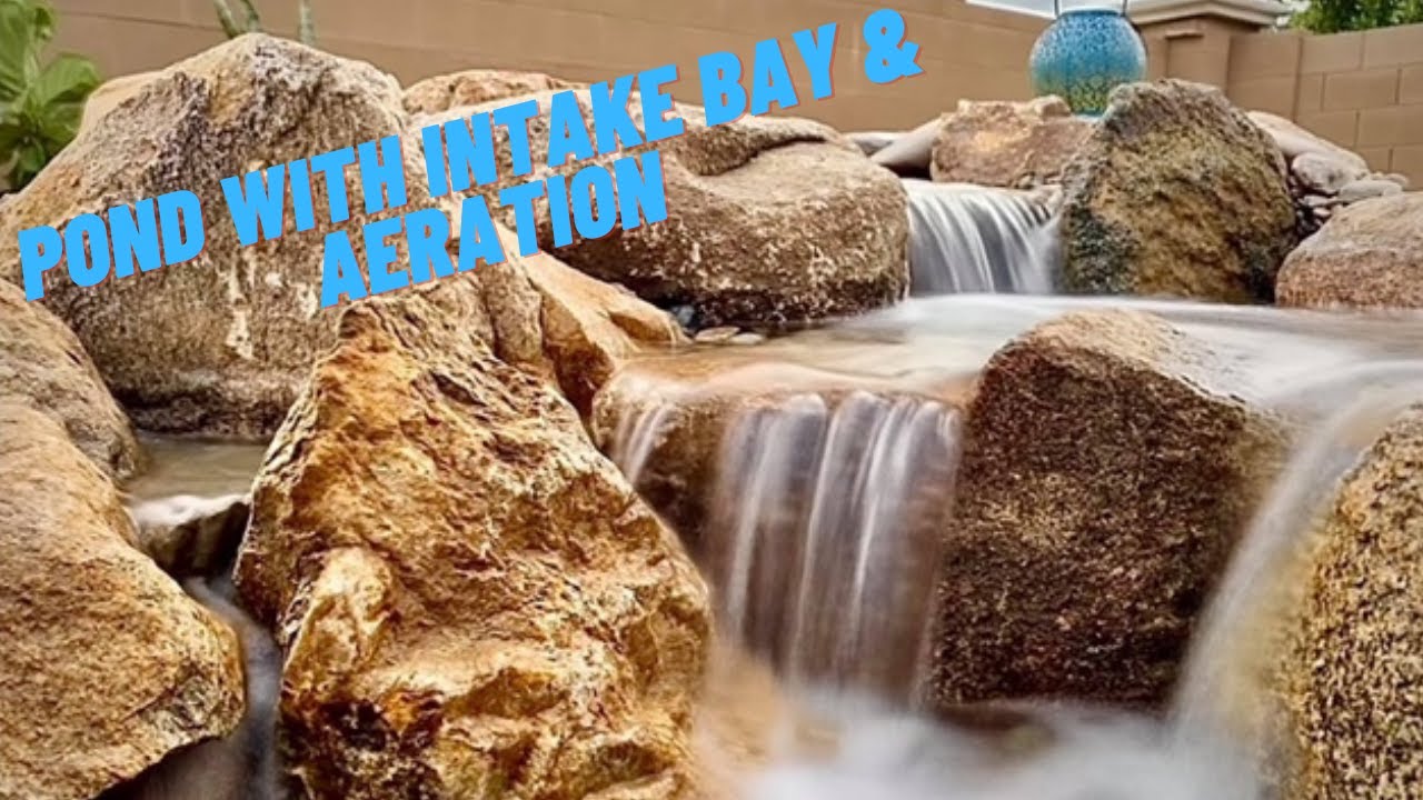Ecosystem pond with INTAKE BAY and Aeration - YouTube