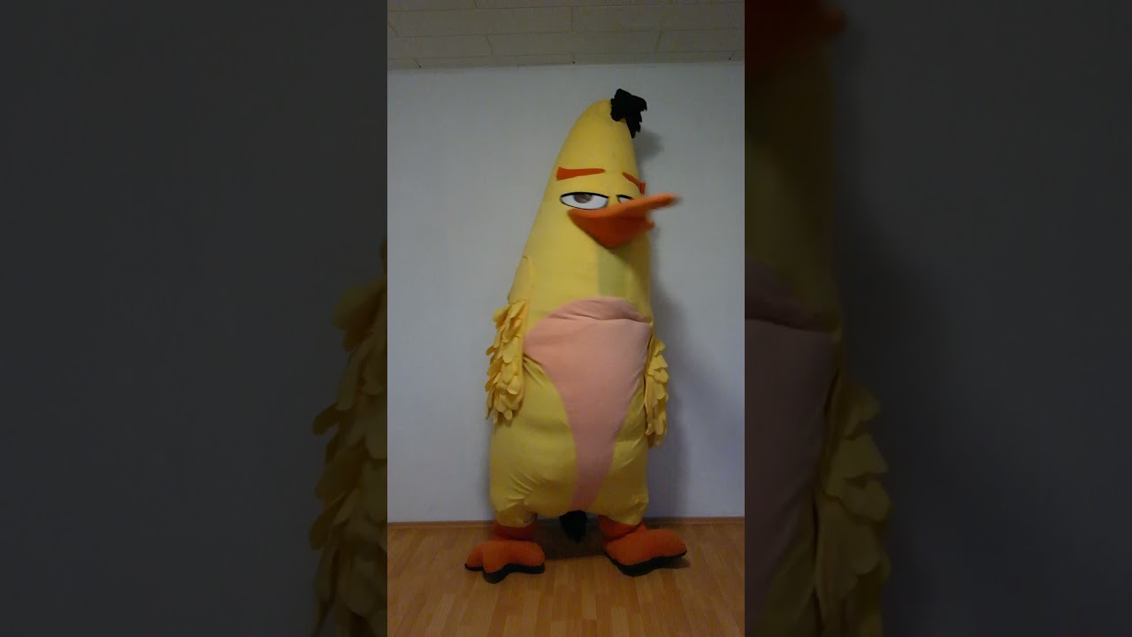 Yellow Bird Chuck Dashes Through the Room - YouTube