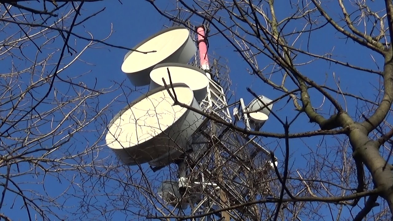 Operation Hamster - YouTube