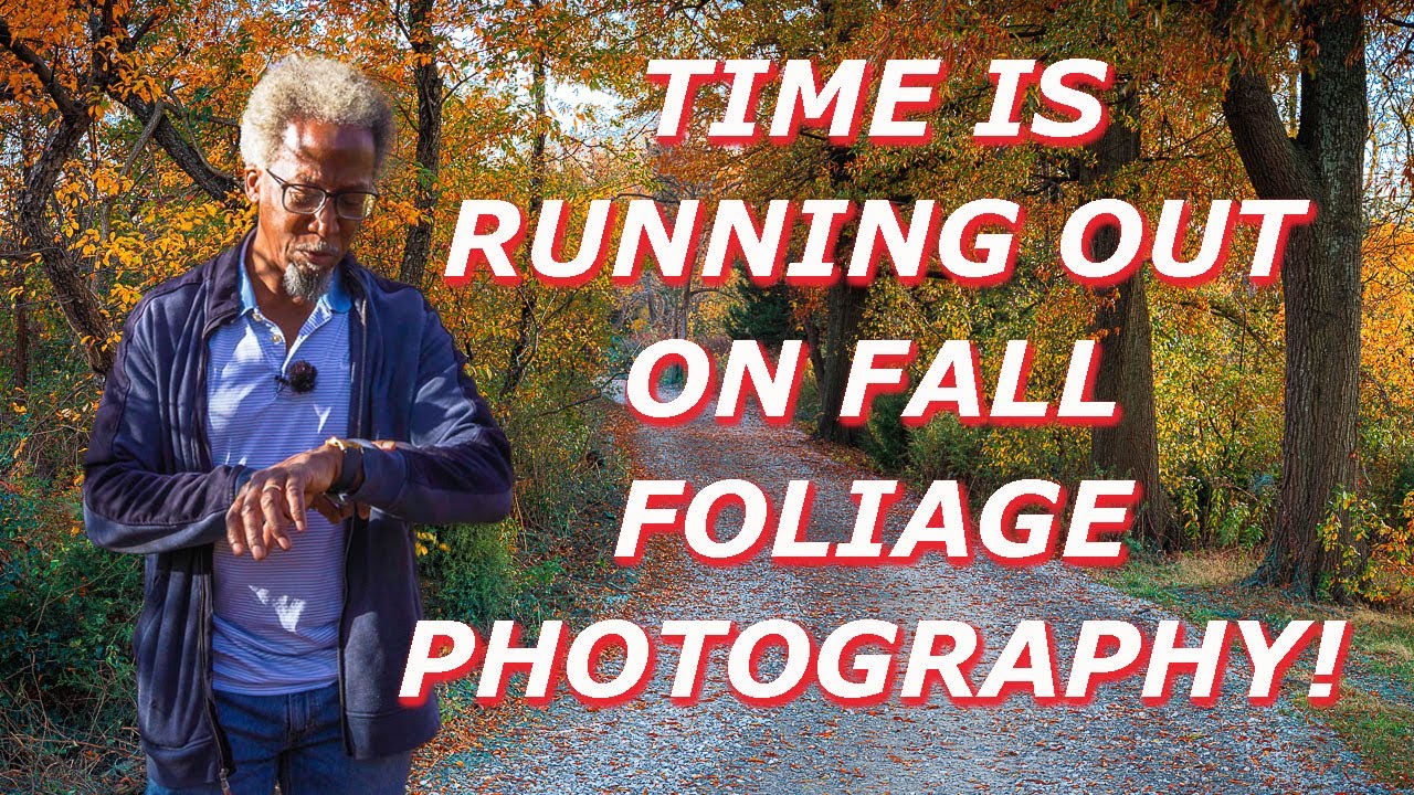 Last Chance for Fall Foliage Photography? - YouTube
