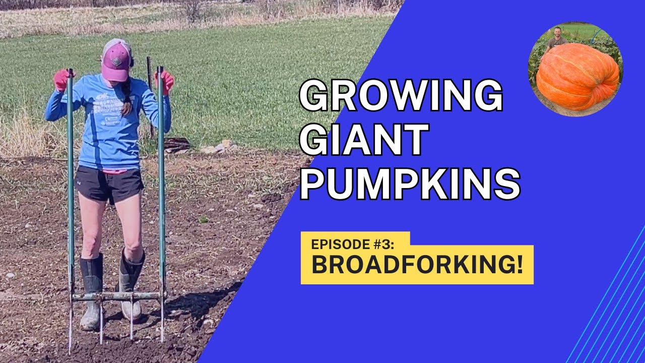 Ep. 3 - Broadforking the Giant Pumpkin Patch!! - YouTube