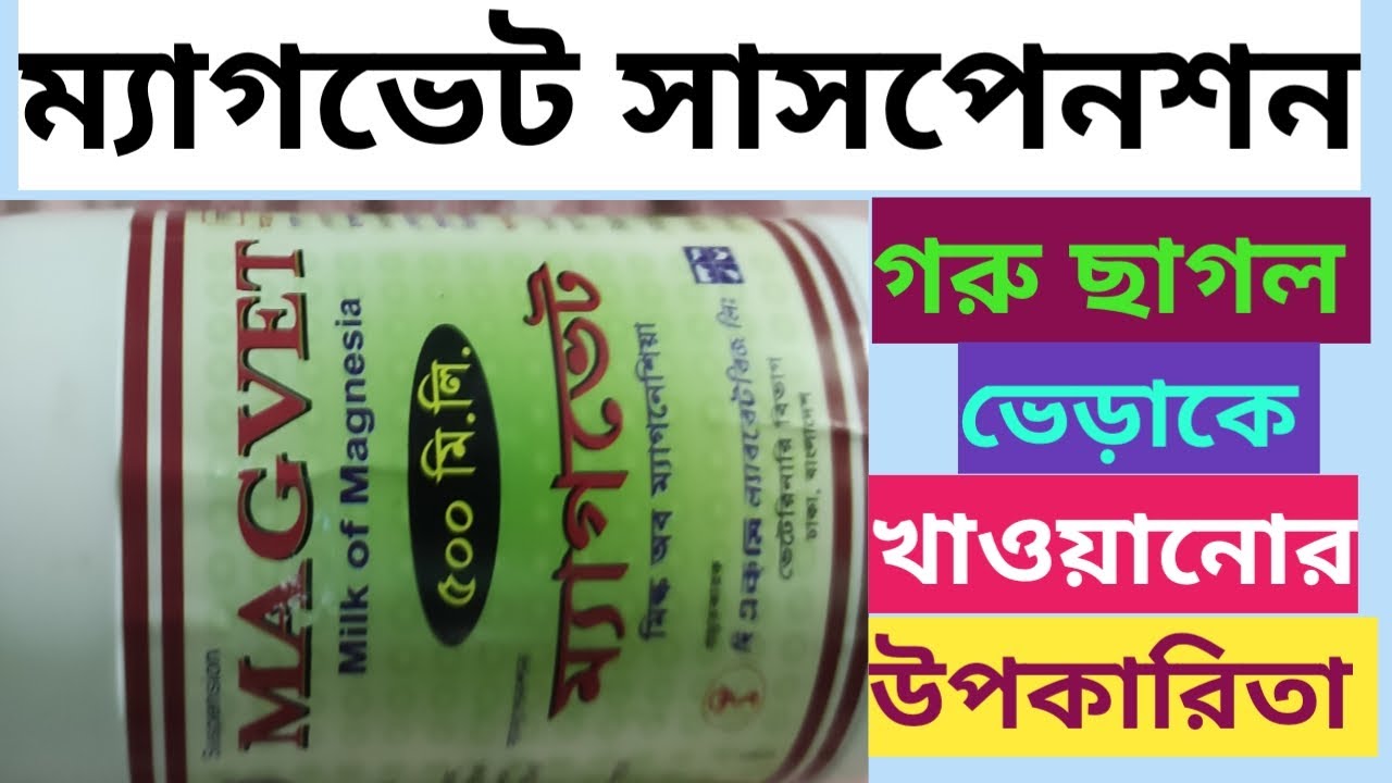 Magvet suspension for cow goat & sheep ম‍্যাগভেট সাসপেনশন গরু ছাগল ...