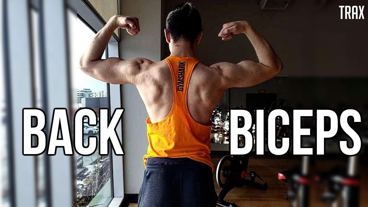 BUILDING A MASSIVE BACK | PULL WORKOUT - YouTube
